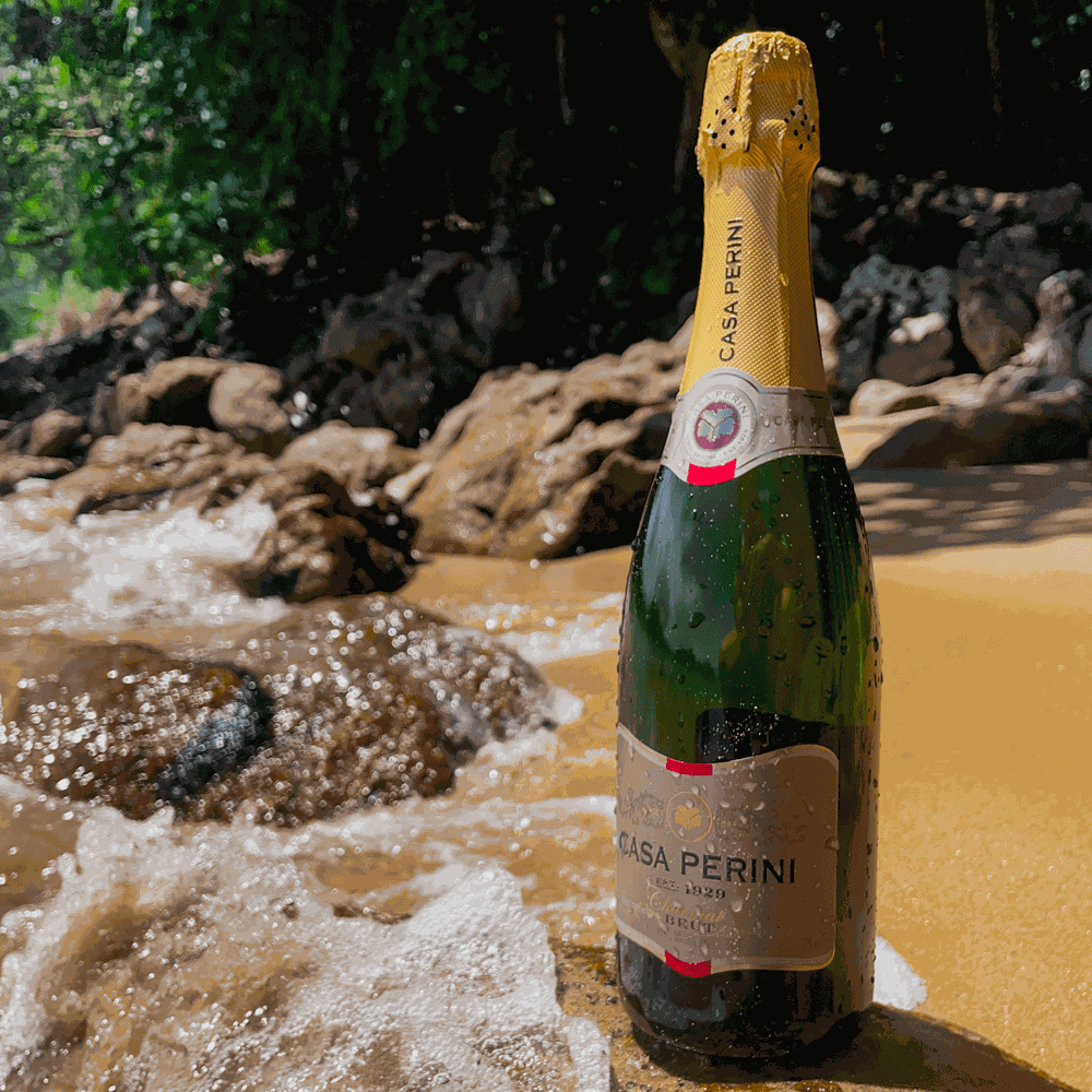 ESPUMANTE BRUT (750ML)-CASA PERINI